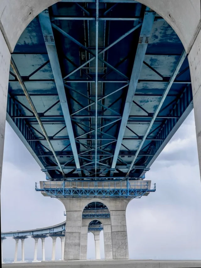 Holiday Parade and Tree Lighting | Discover Coronado