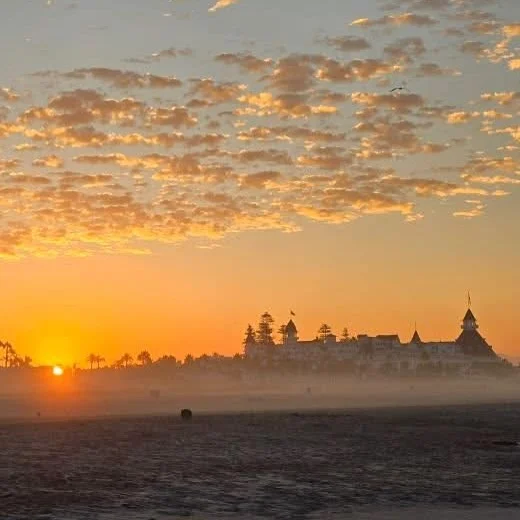 Holiday Parade and Tree Lighting | Discover Coronado