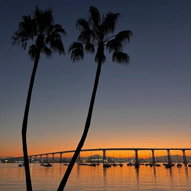 Holiday Parade and Tree Lighting | Discover Coronado